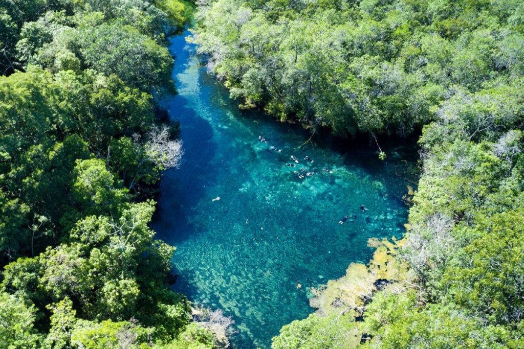 Bonito, MS: quais passeios fazer, quando ir, onde ficar e mais dicas